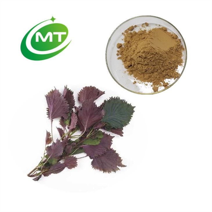 Perilla Leaf Extract - China Water Soluble Powder, Extract Powder, Tea ...