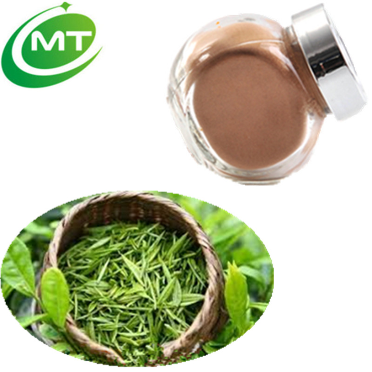 Instant Green Tea Powder - China Water Soluble Powder, Extract Powder ...
