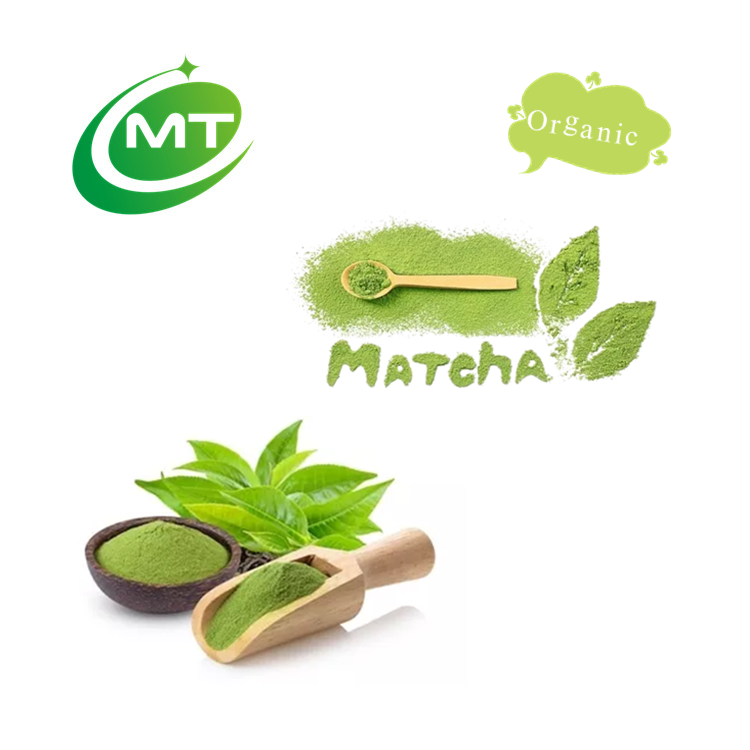 Products – China Water Soluble Powder, Extract Powder, Tea Extract ...